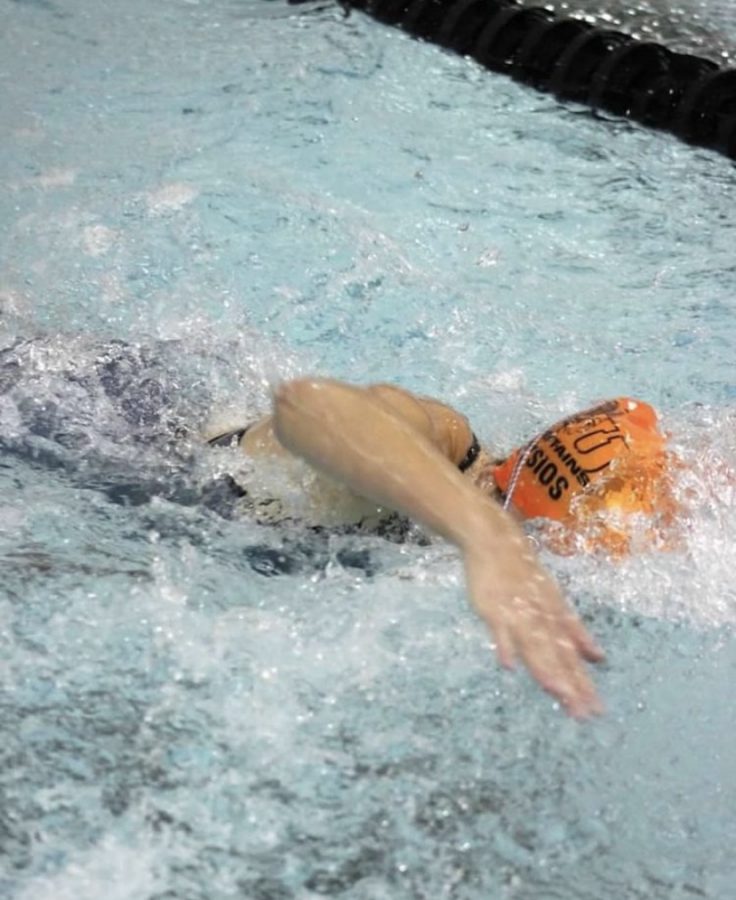 Girls Varsity Swim Team Racks Up a Good Season – Arrow